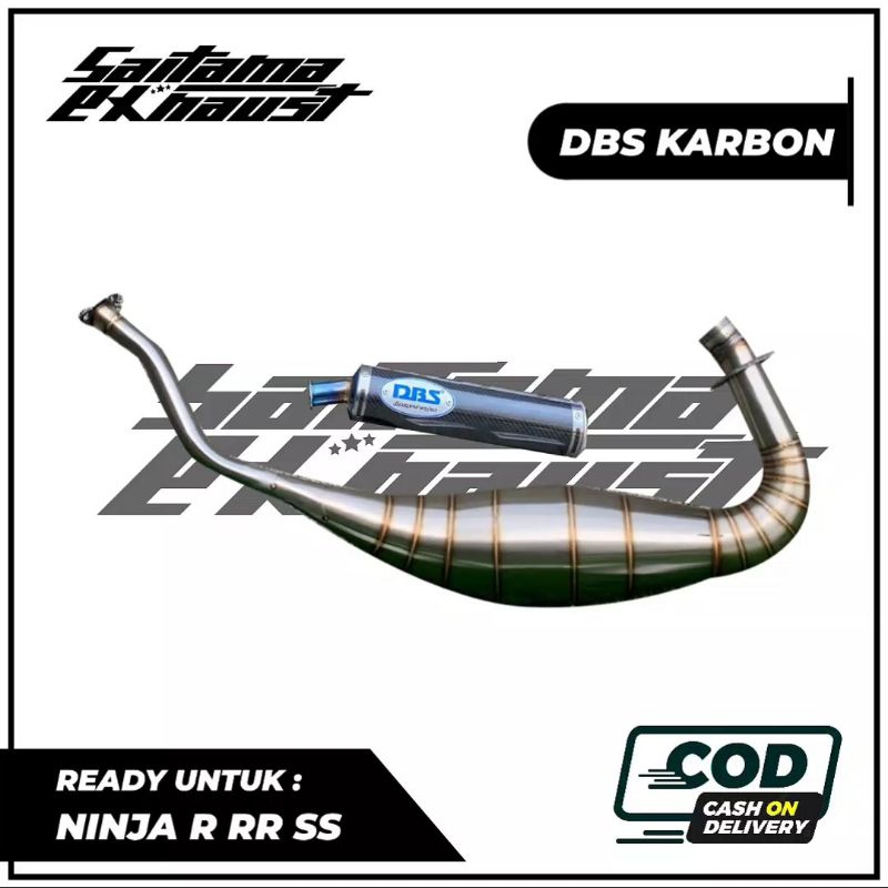 Ninja R RR SS DBS Thailand Carbon Exhaust Type Chamber Stainless PNP ...