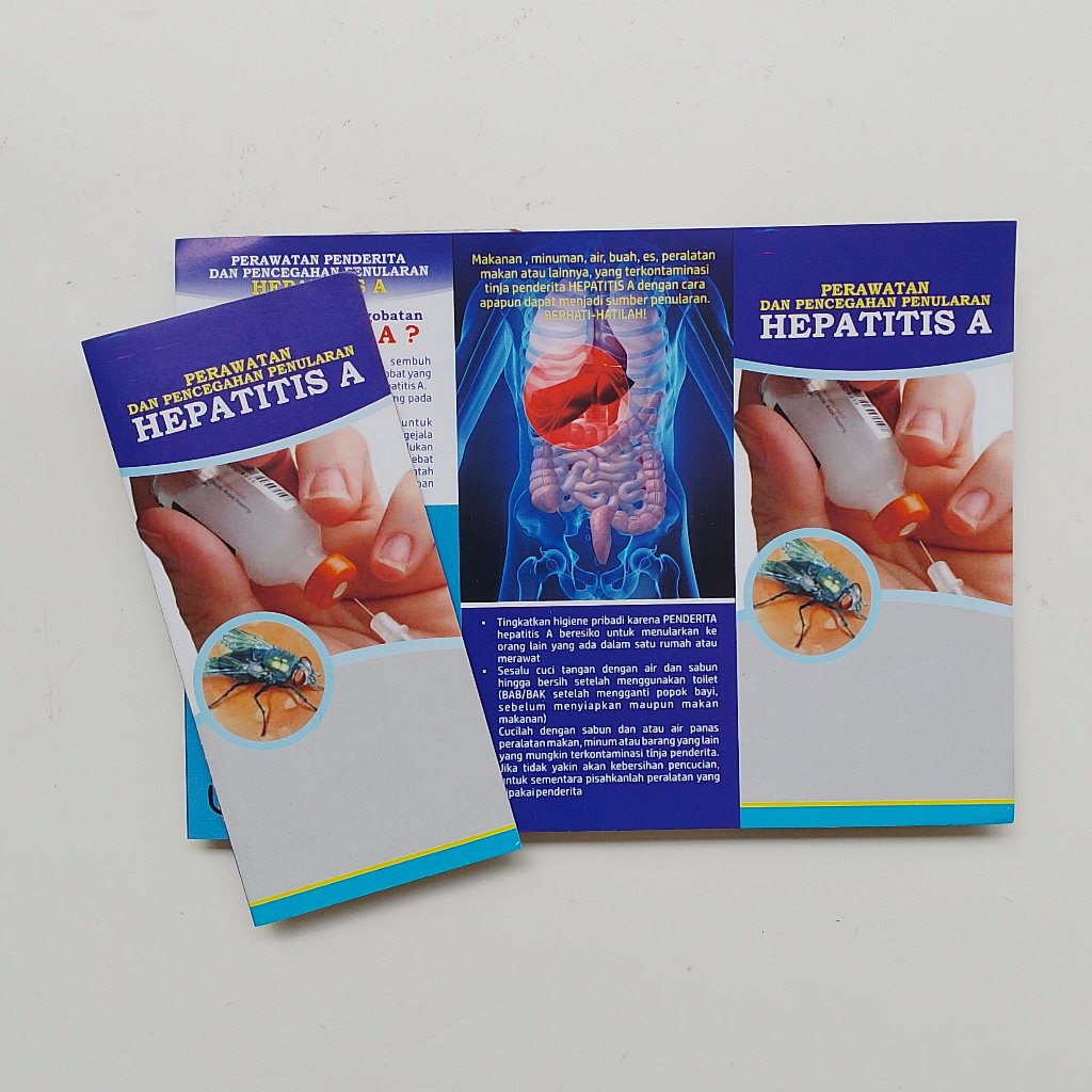 Hepatitis Transmission Treatment and Prevention Leaflet - HAV Disease ...