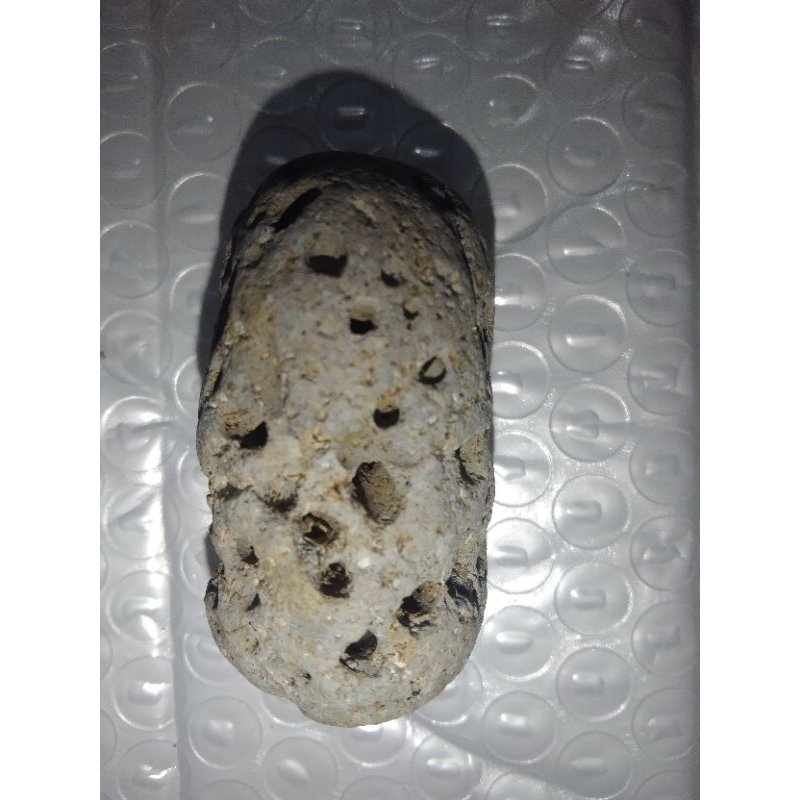 Ant nest gembolo stone | Shopee Philippines