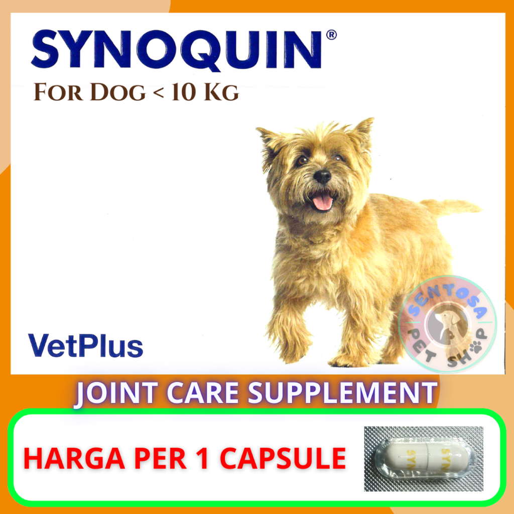 Synoquin EEFA Small Breed Dog - Dog Joint Supplement (1 capsule ...