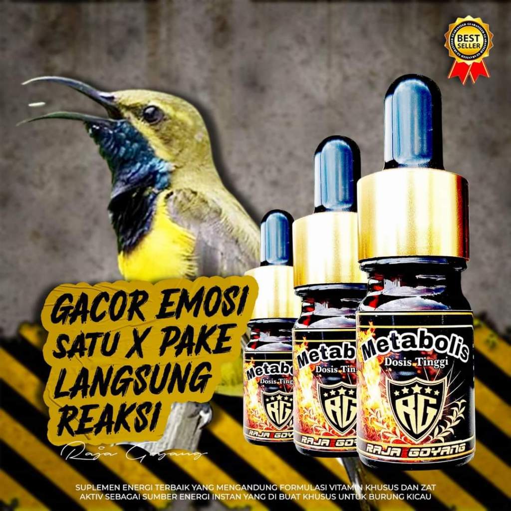 Doping Metabolic King Rocking High Dose VITAMIN Metabolism RG Caster ...