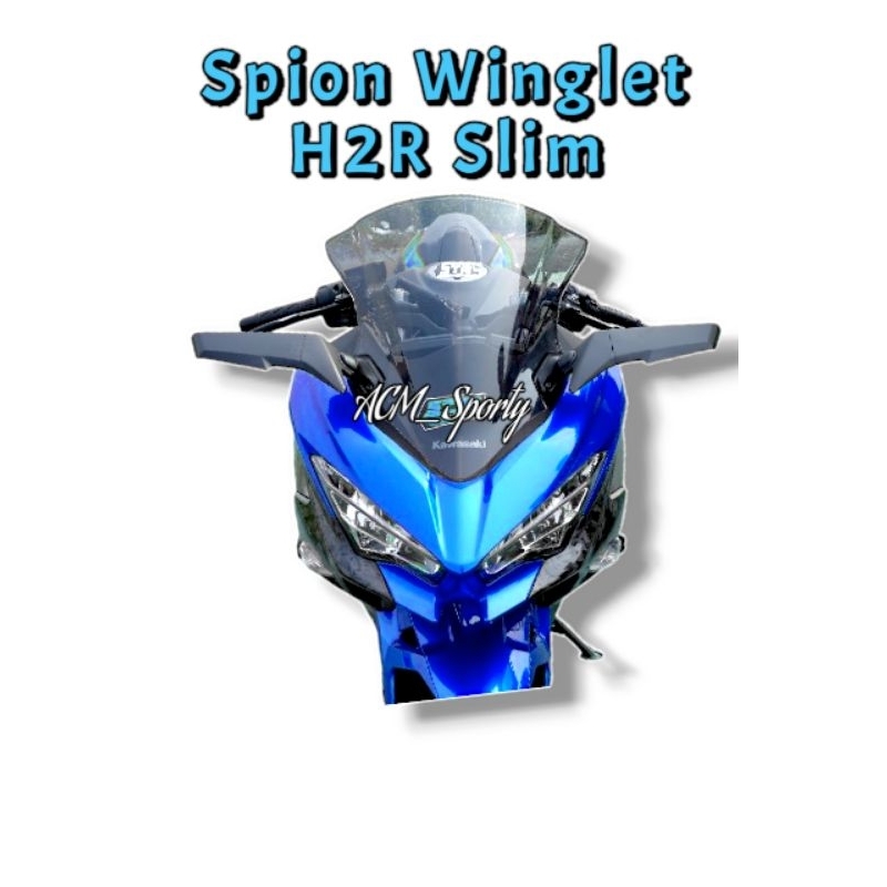 Rizoma F22R Raptor Winglet Mirrors Model H2R Slim Version Universal for ...