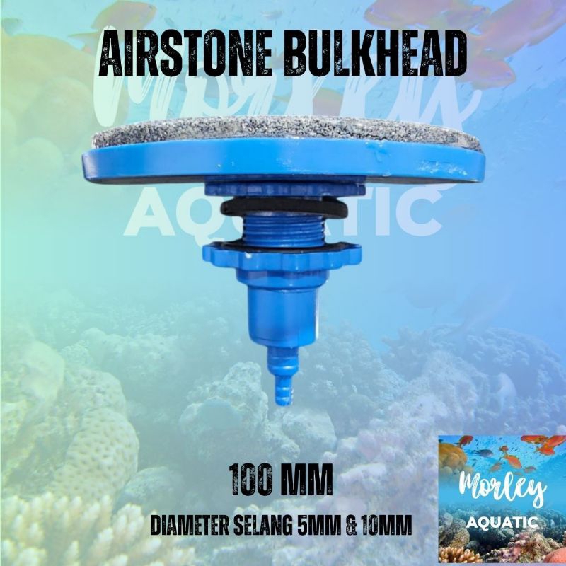 Airstone BULKHEAD 100MM / AIRSTONE / AERATOR STONE STICKED ON THE GLASS ...