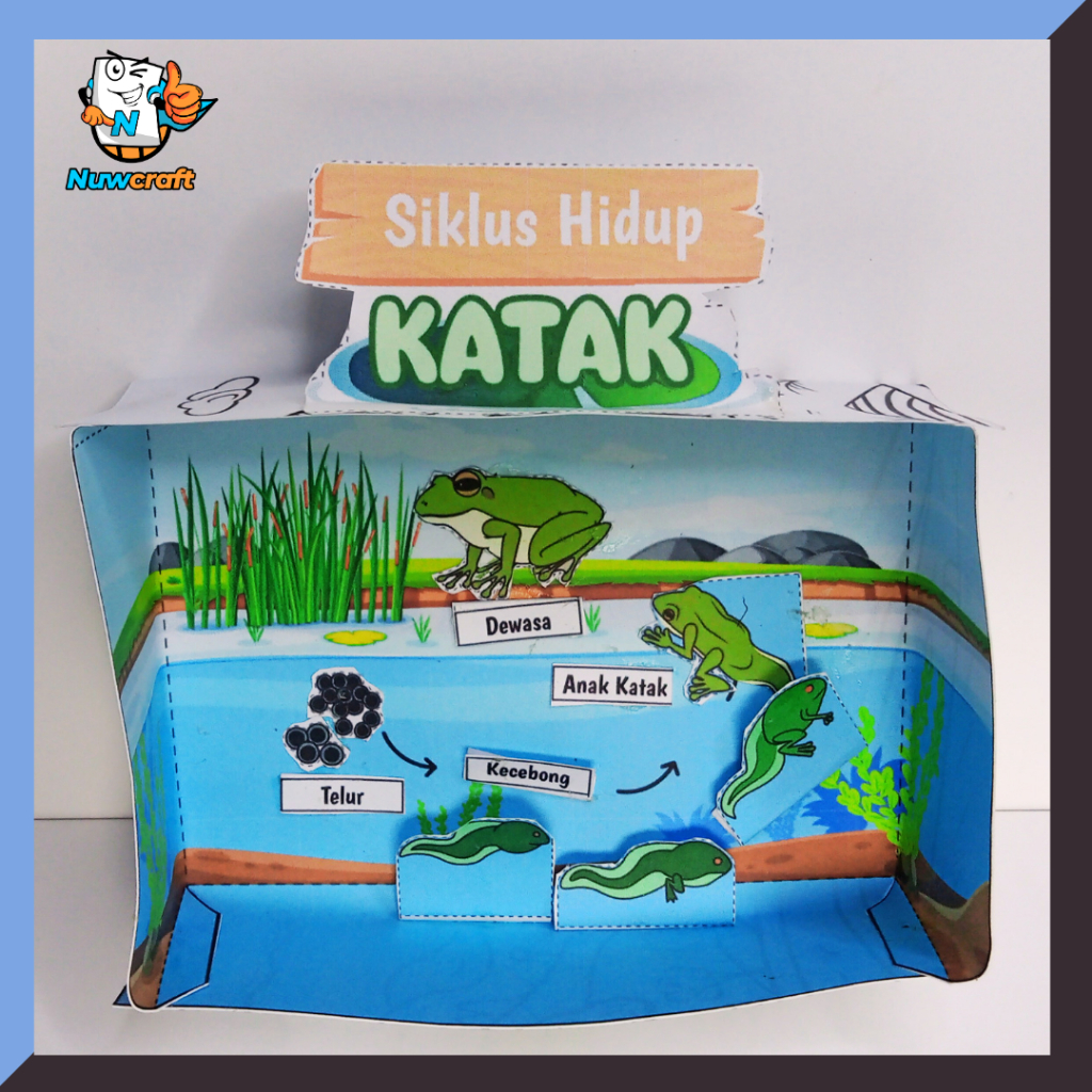 Nuwcraft Miniature Diorama metamorphosis Frog craft papercraft | Shopee ...