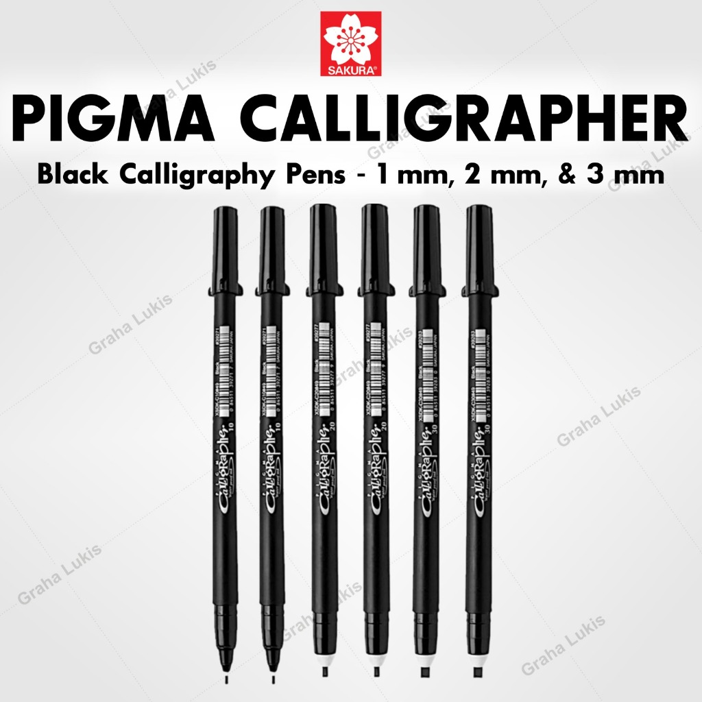 SAKURA PIGMA CALLIGRAPHER PEN | Shopee Philippines