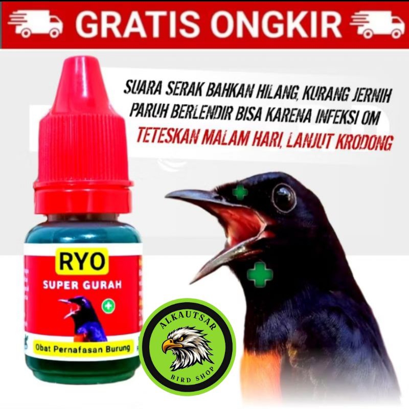 Gurah PRO RYO SUPER gurah MEDICINE FOR BIRD SQUEEZING INFLATATION ...