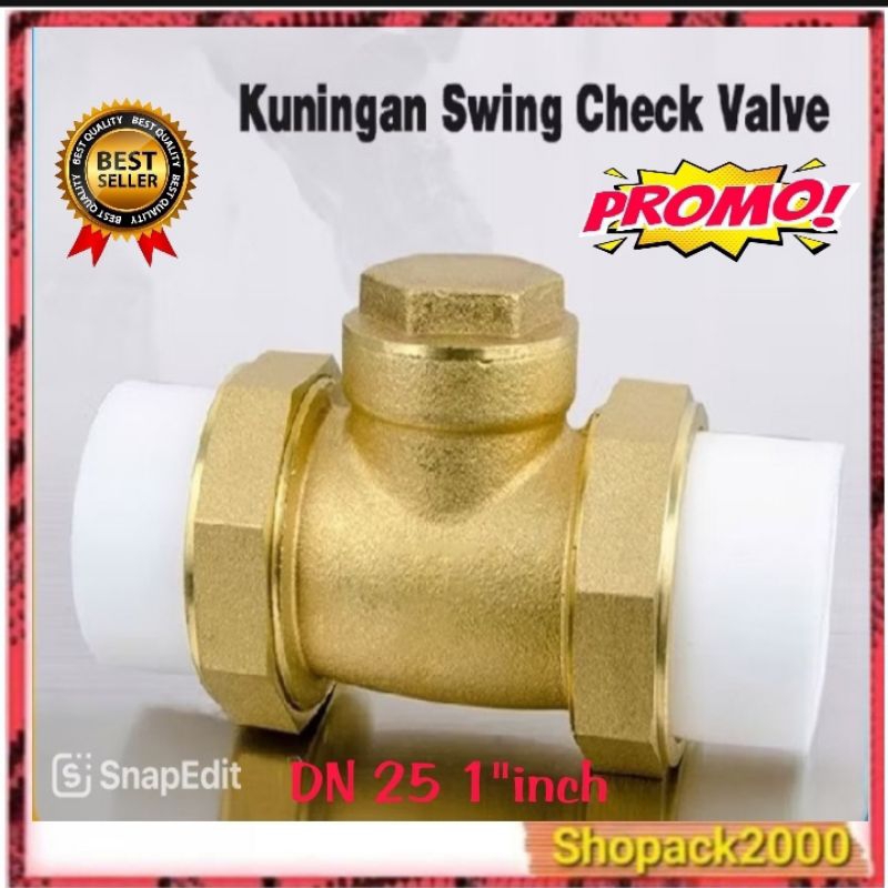 Tabok Valve 1"inch Brass Check Valve 1" inch DN25 | Shopee Philippines