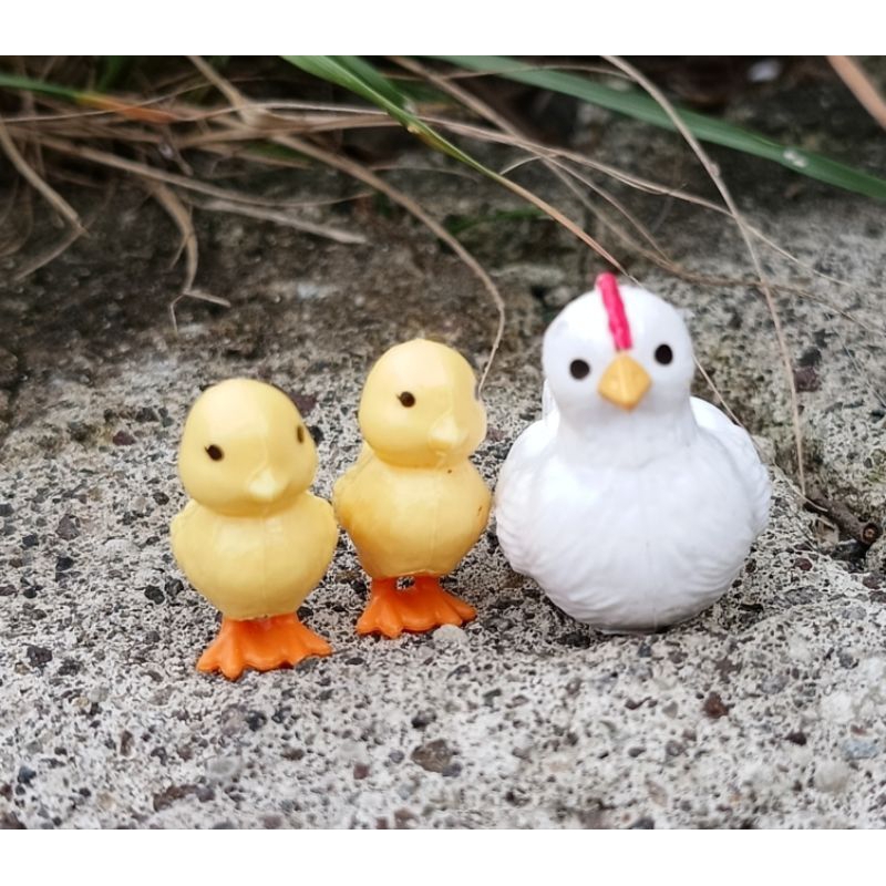 Miniature chickens and chicks | Shopee Philippines