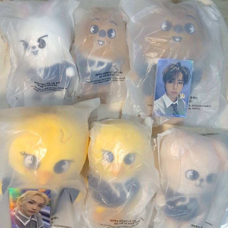 OFFICIAL Merchandise Stray Kids Magic School Plush Skzoo 20cm 15cm ...