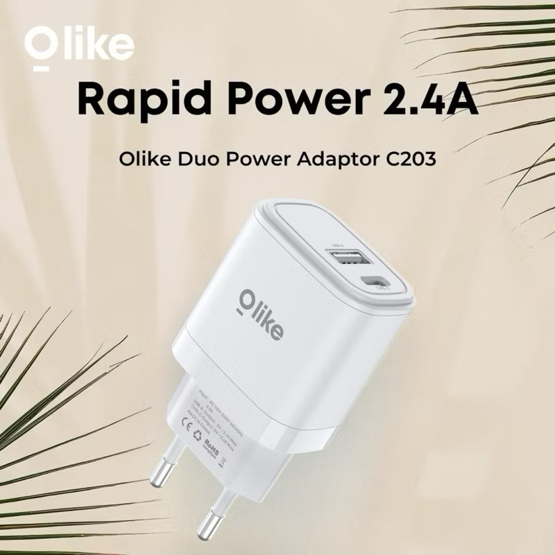 Olike Power Adapter charger Dual Port USB A/ USB-C Multi Protection ...