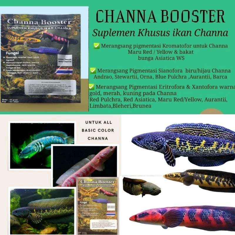CHANNA BOOSTER Color Mutation Medicine and Special Supplement for Chana ...