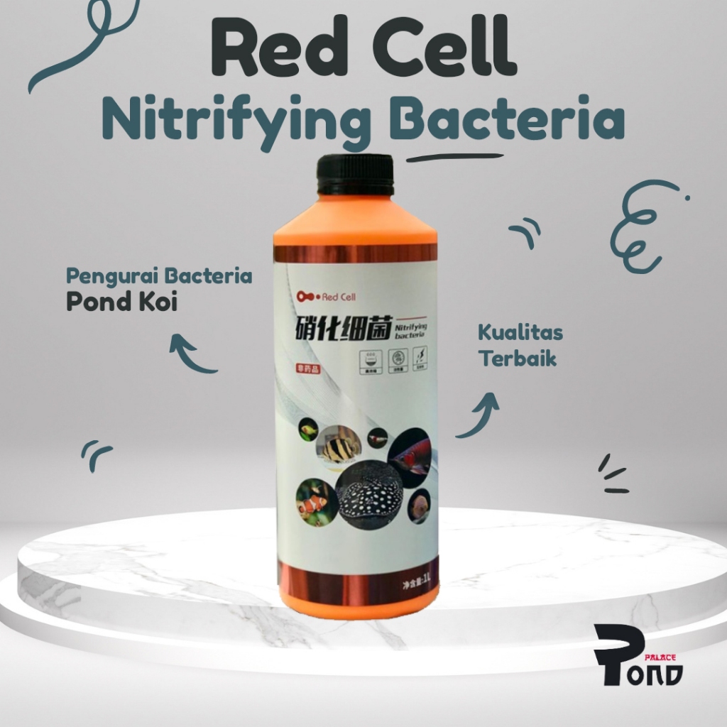 Fish Pond Bacteria Filter Koi Pond Filter Starter Bacteria | Shopee Philippines