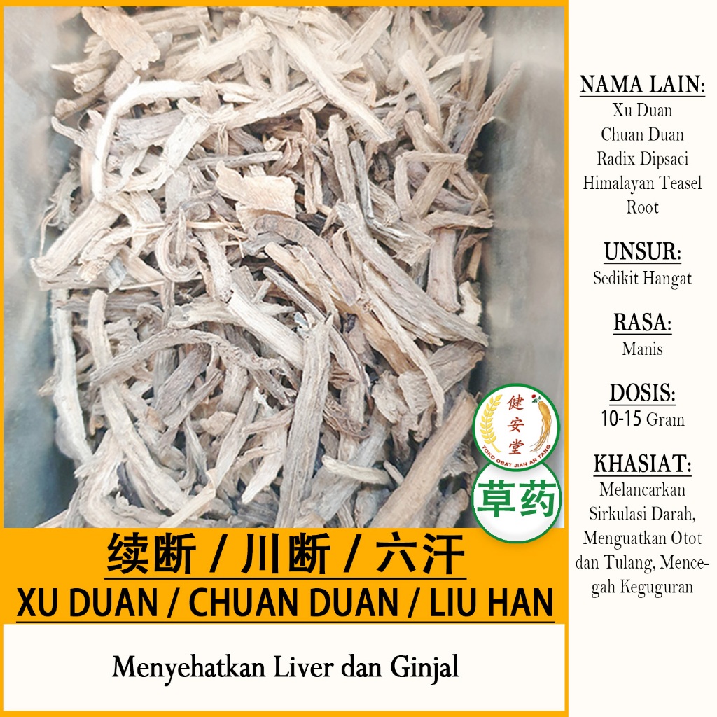 LIU HAN - XU DUAN - CHUAN DUAN - Radix Dipsaci - Herbal TCM Healthy ...