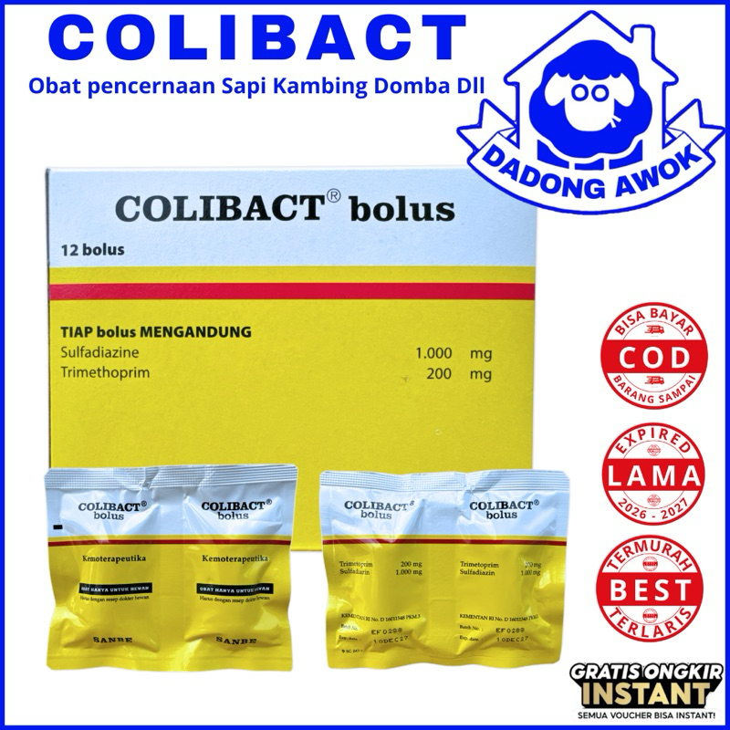 Colibact BOLUS 1 Box medicine for coughs, colds, diarrhea (breathing ...