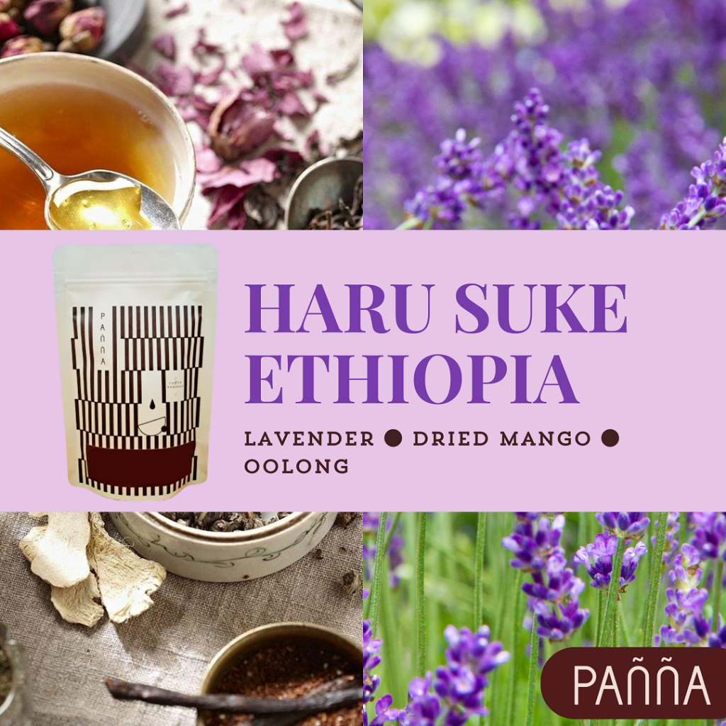 Haru Suke Ethiopia Winner Taste Of Harvest specialty arabica Coffee ...
