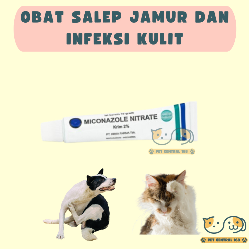 Miconazole Nitrate 10gr - Fungal Ointment for Cats and Dogs | Shopee ...