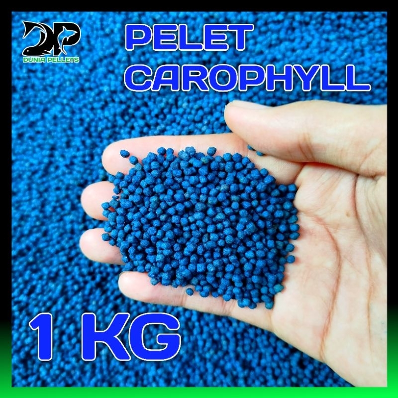 Carophyll mix pellets, blue food to brighten fish color, size 0.5 mm ...