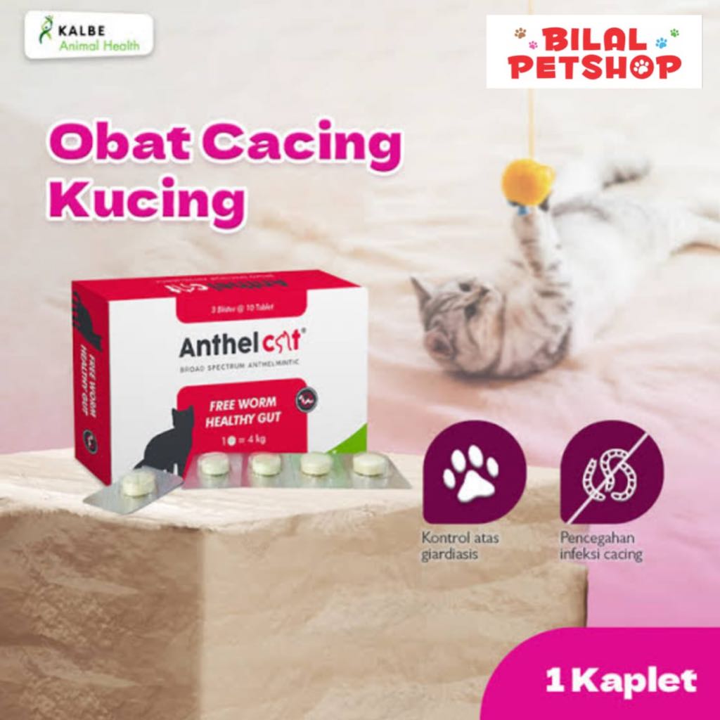 Anthel Cat 1 Box @30 Tablets - Cat Deworming Medicine by Kalbe ...