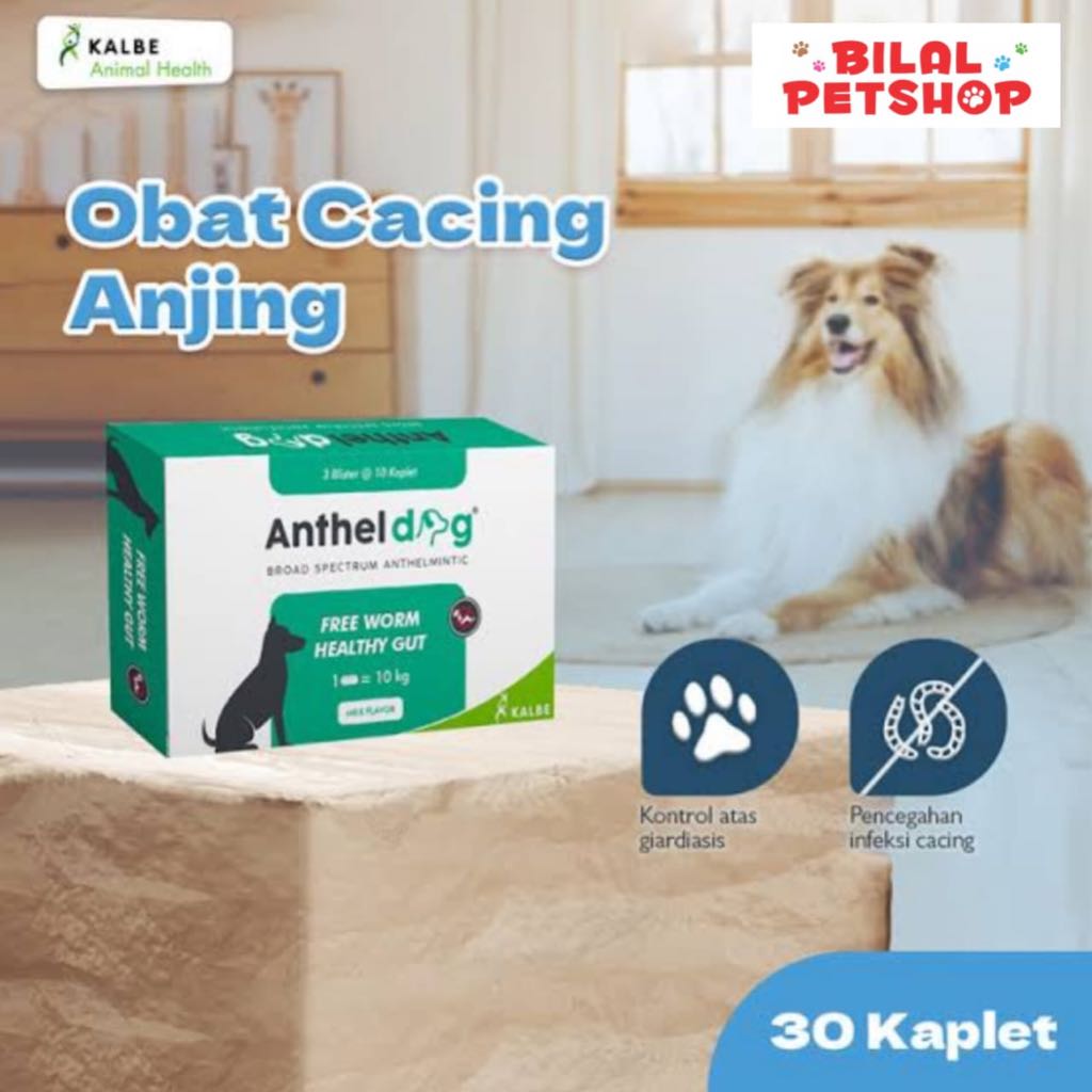 Anthel Dog 1 Box @30 Tablets - Dog Worm Medicine by Kalbe [ORIGINAL ...