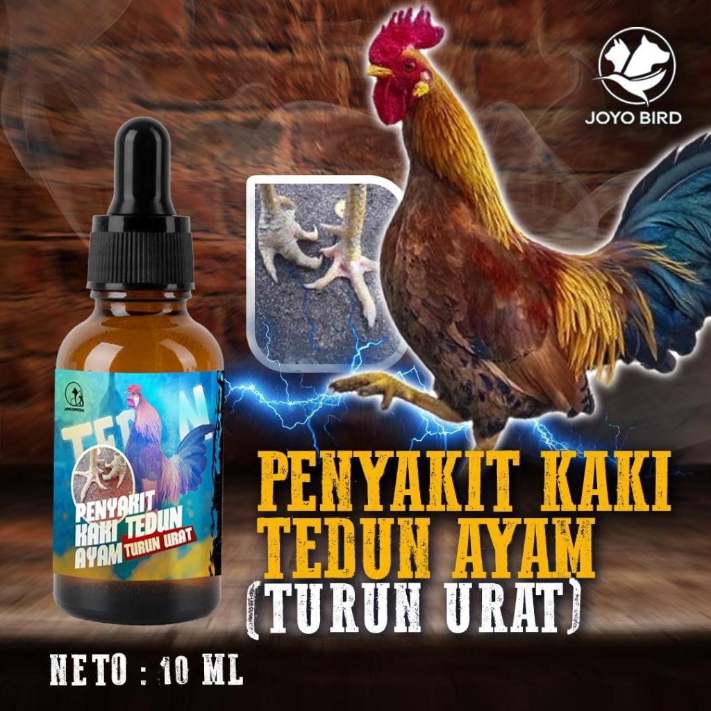 Tedun Leg Chicken Medicine | Chicken TEDUN Foot Medicine | Down Veins ...
