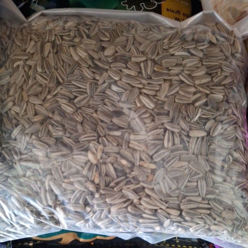 Kuaci 500 gr imported African lovebird food | Shopee Philippines