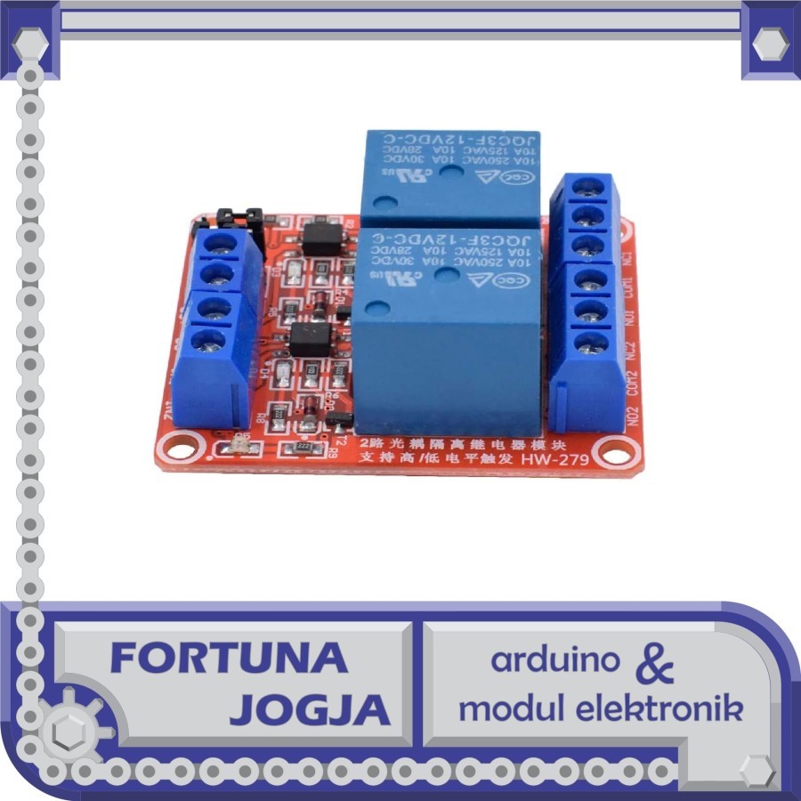 Optocoupler 2 Channel 24V Hi-Lo Input Relay Module | Shopee Philippines