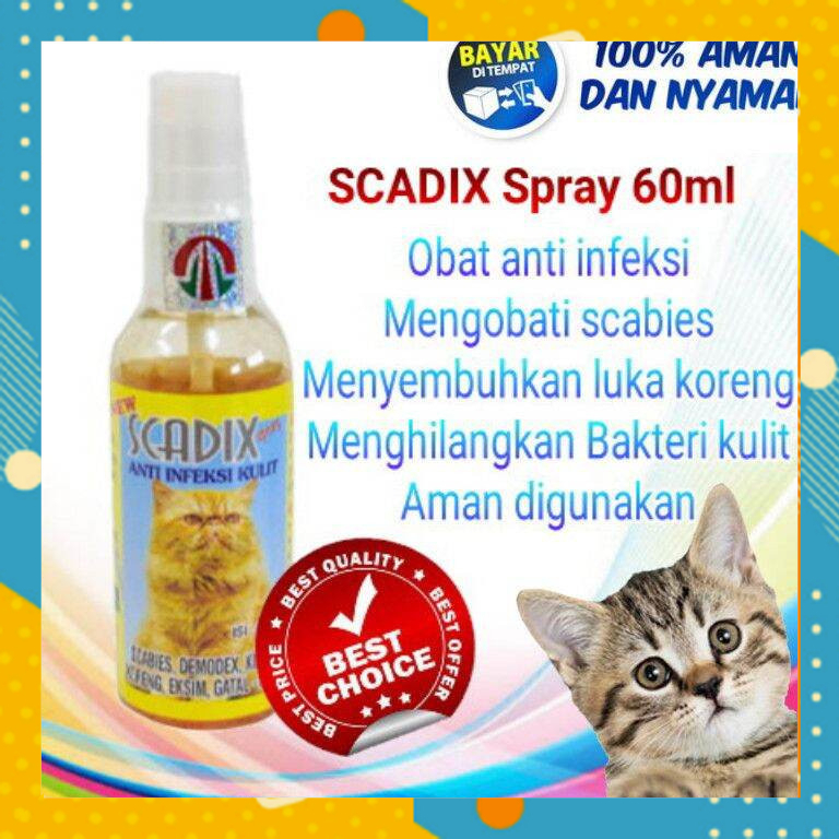 Scadix Cat Medicine Spray Scabies Demodex Scabies Scabs Eczema Itching ...