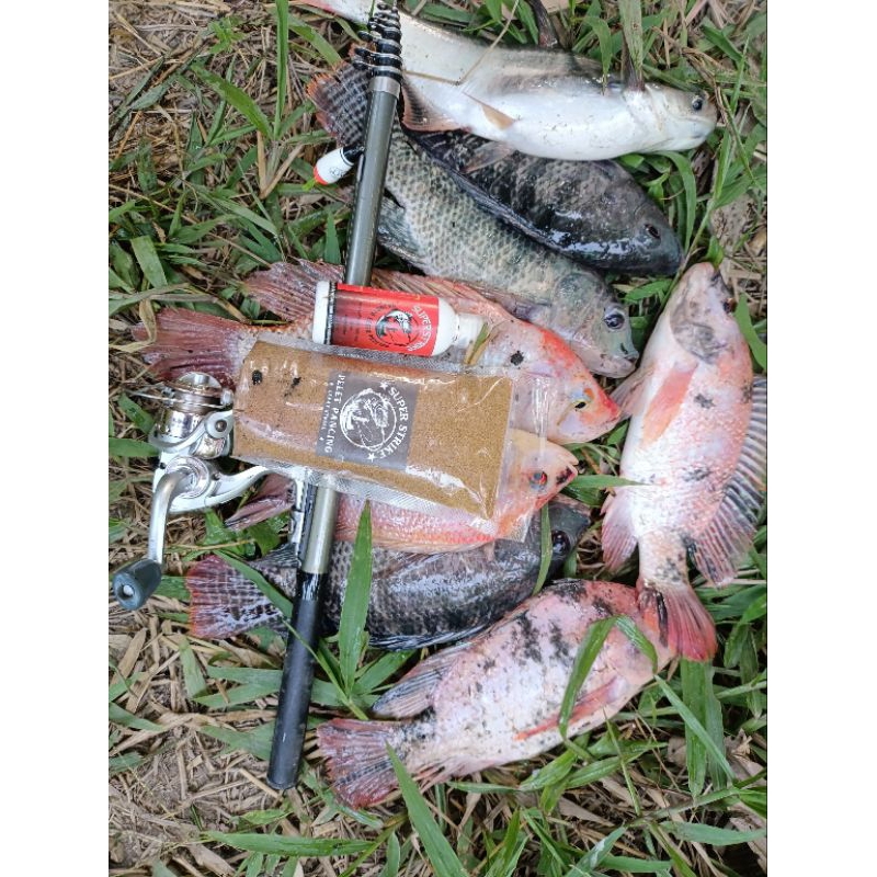 Tilapia super strike essence, mujaer essence, river lake pond essence ...