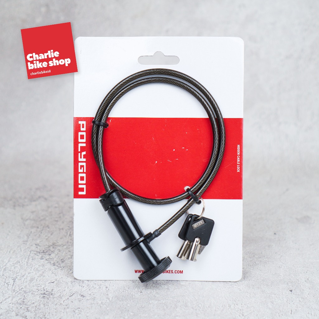Polygon Hidden Cable Lock Bicycle Lock | Shopee Philippines