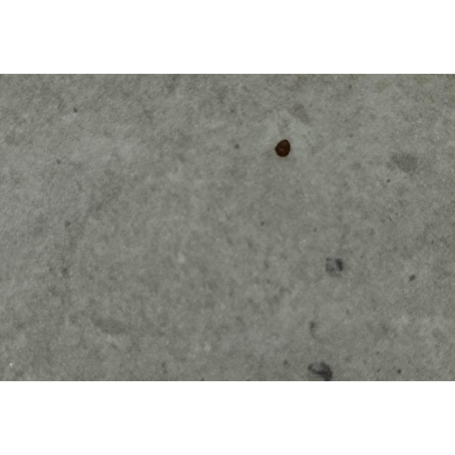 Furniture Upholstery / HPL AICA AS 14062 CS83 Light Gray Leger Stone ...