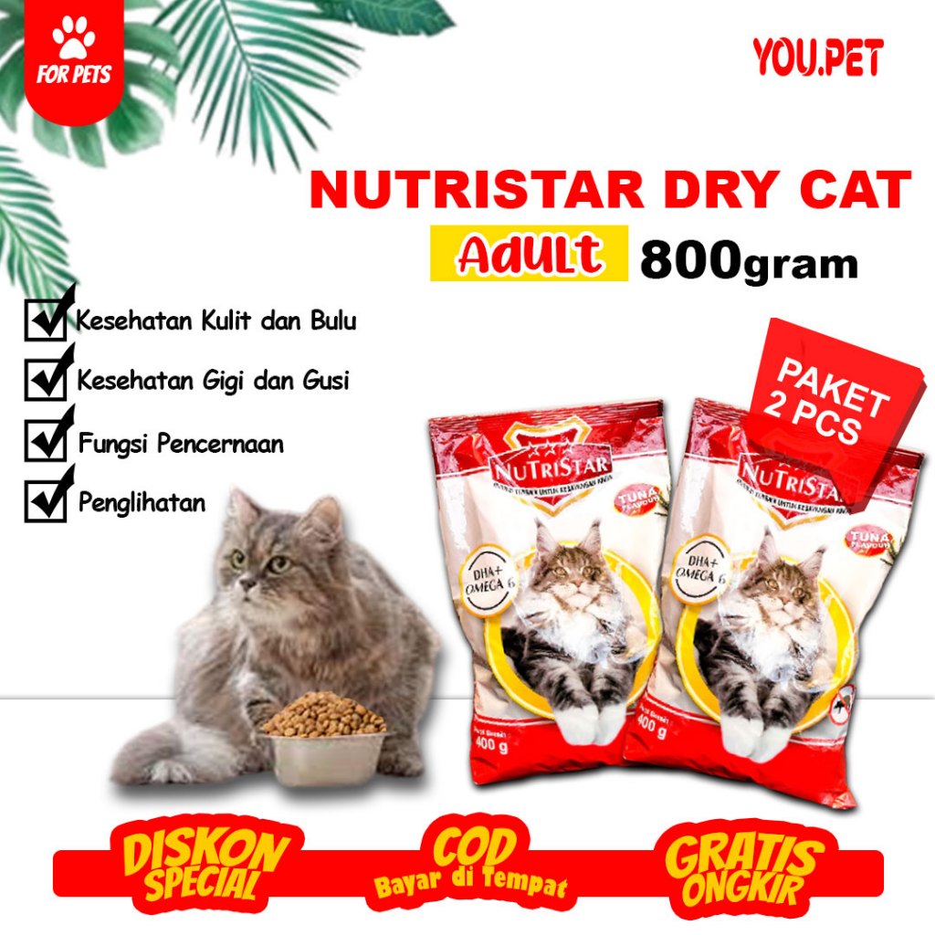 Dry Food Cat JUNIOR Premium NUTRISTAR Pack 800 grams (Cat Food ...