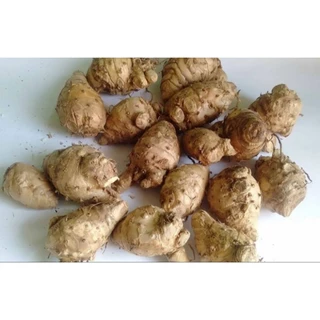 Shop temu for Sale on Shopee Philippines