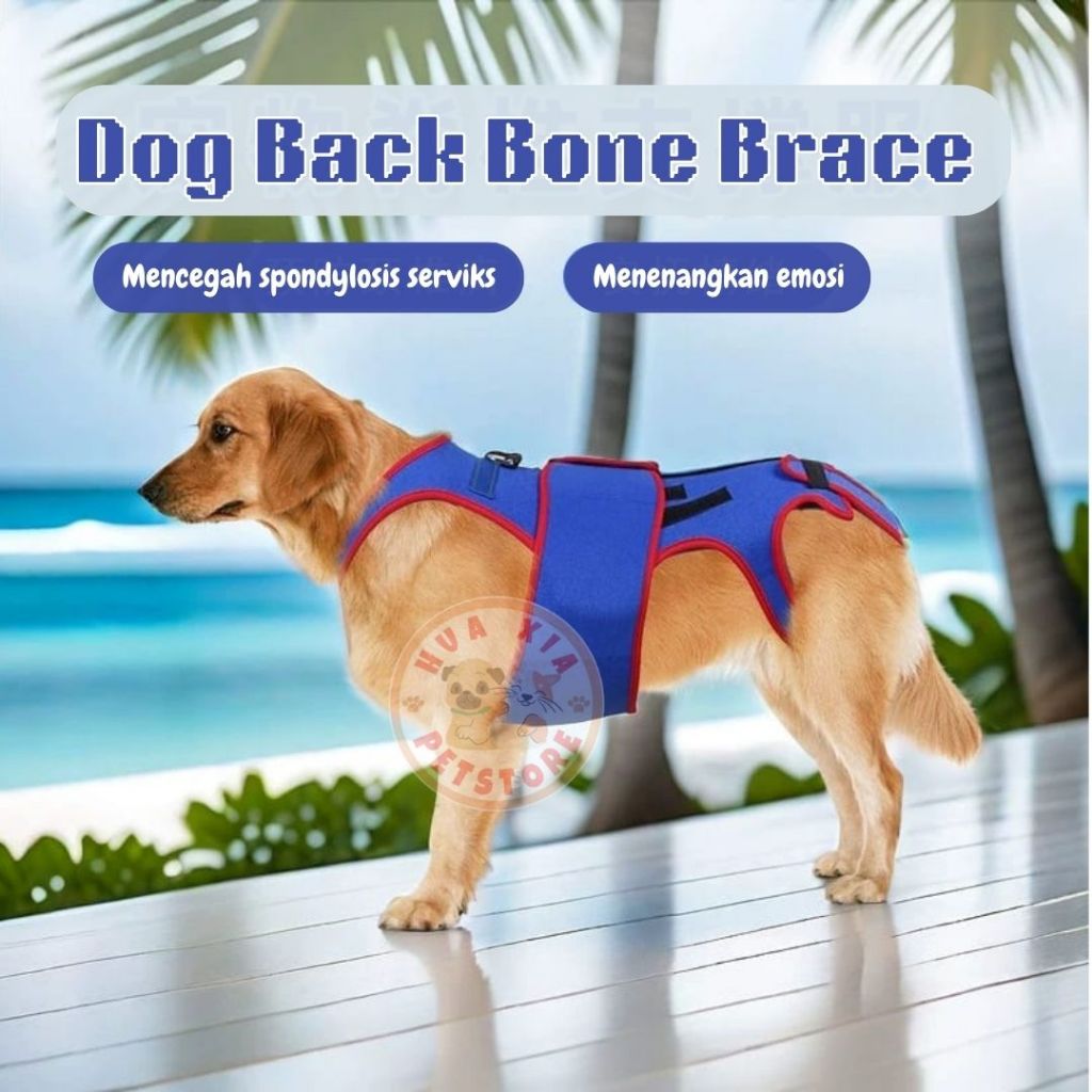 Dog Back Bone Brace/Pet Spine Support Suit/Dog Back Bone Support ...