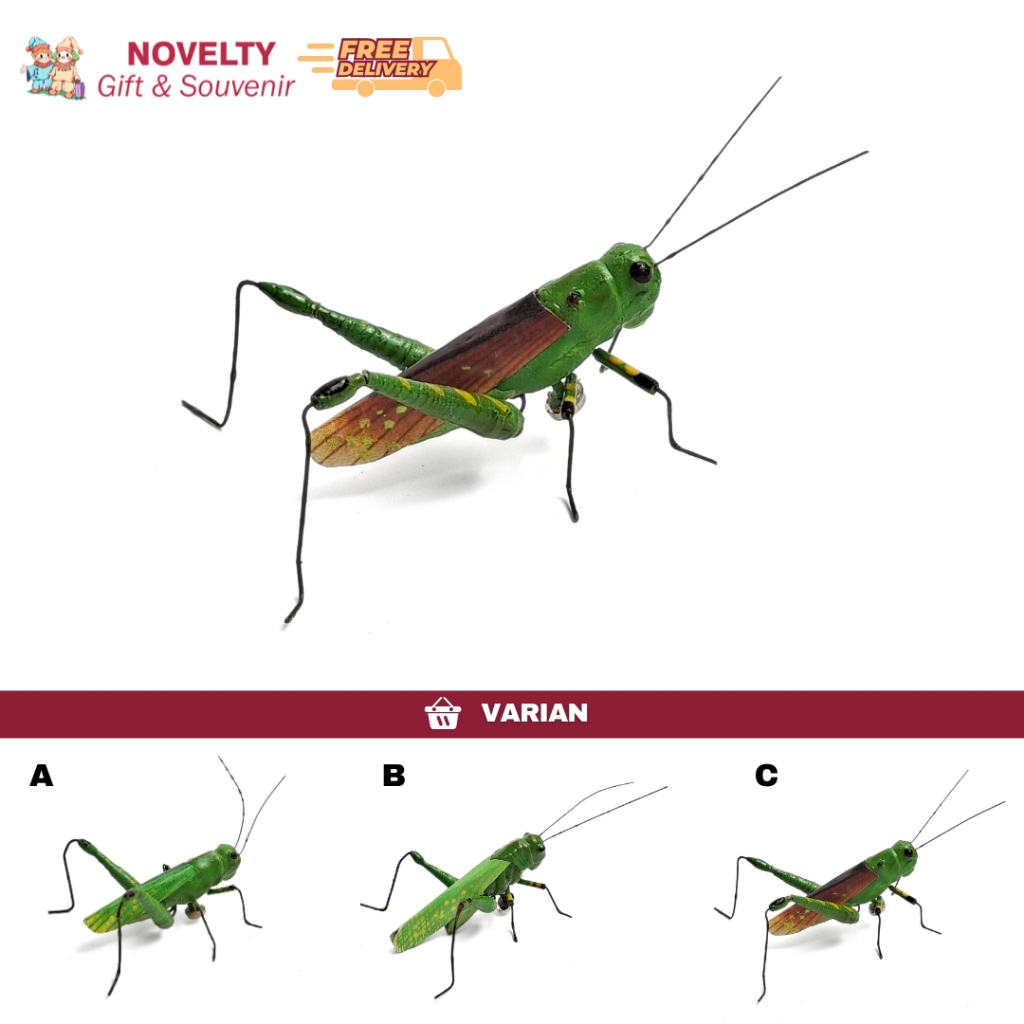 Souvenirs from grasshopper insect refrigerator magnets | Shopee Philippines