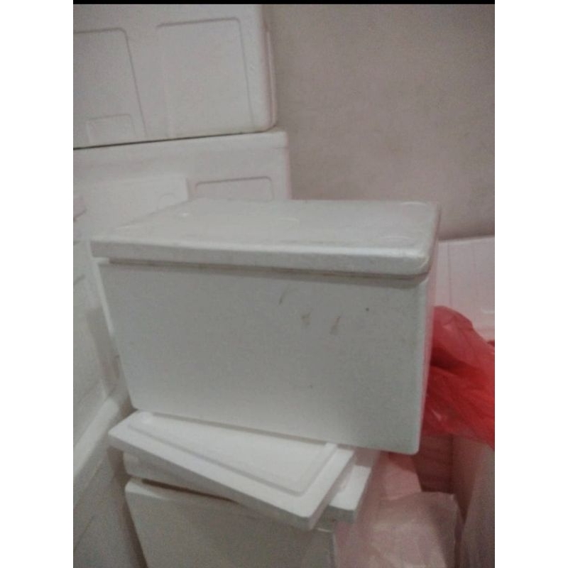 Inner Styrofoam Box (Benur) | Shopee Philippines