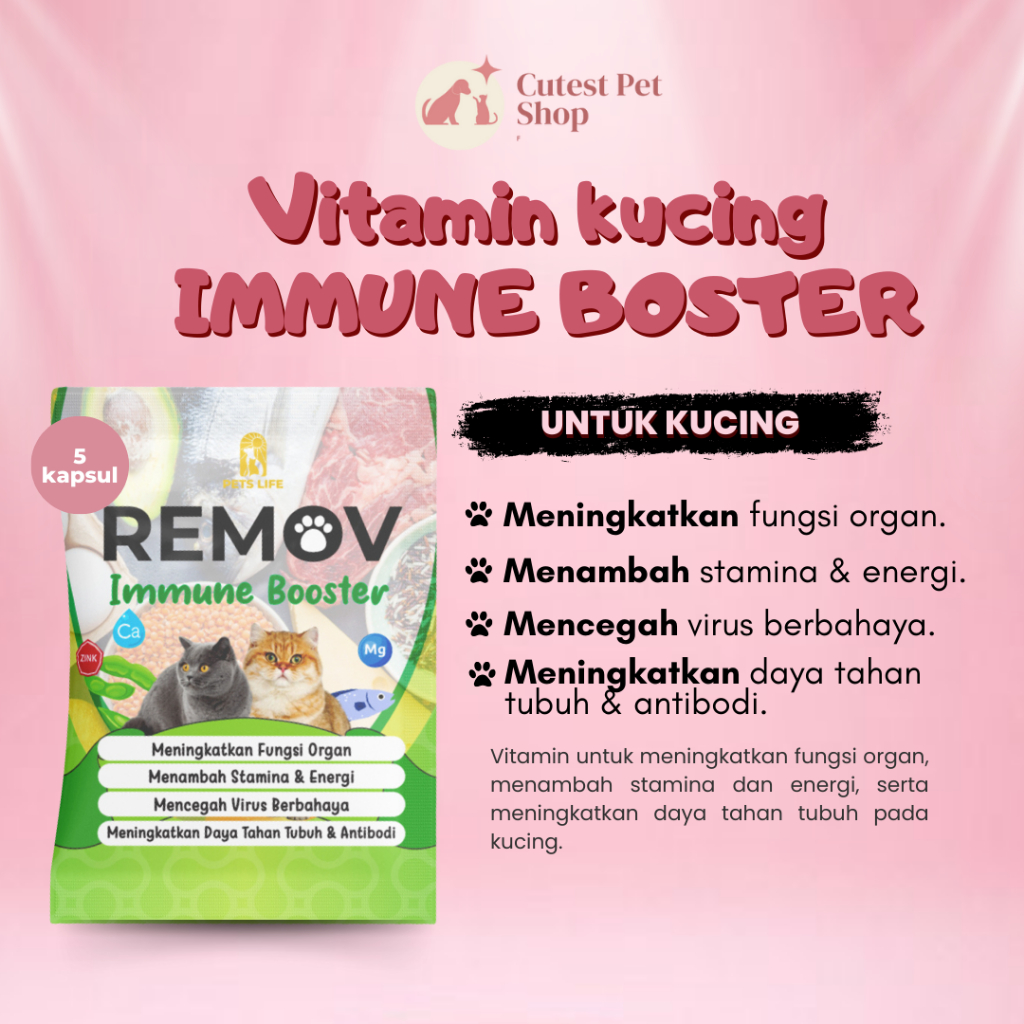 Effective Cat and Dog Vitamins Immune Immunity to Increase Kitten ...