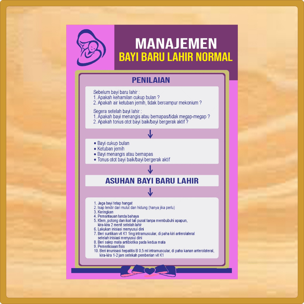 Normal Newborn Baby Management Poster Stickers, Midwifery Poster ...