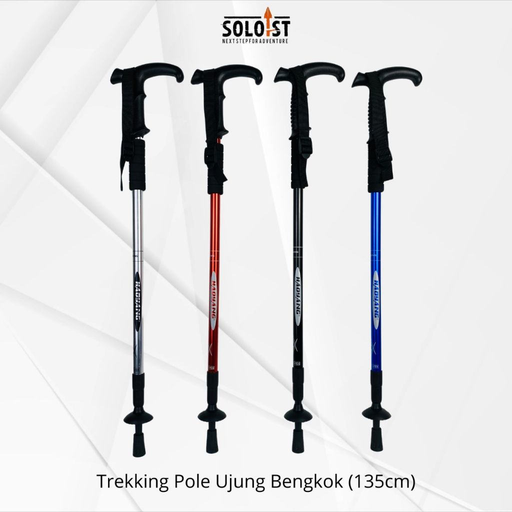 Trekking Pole | Trekking Sticks | Mountain Stick | Tracking Pole Bent ...
