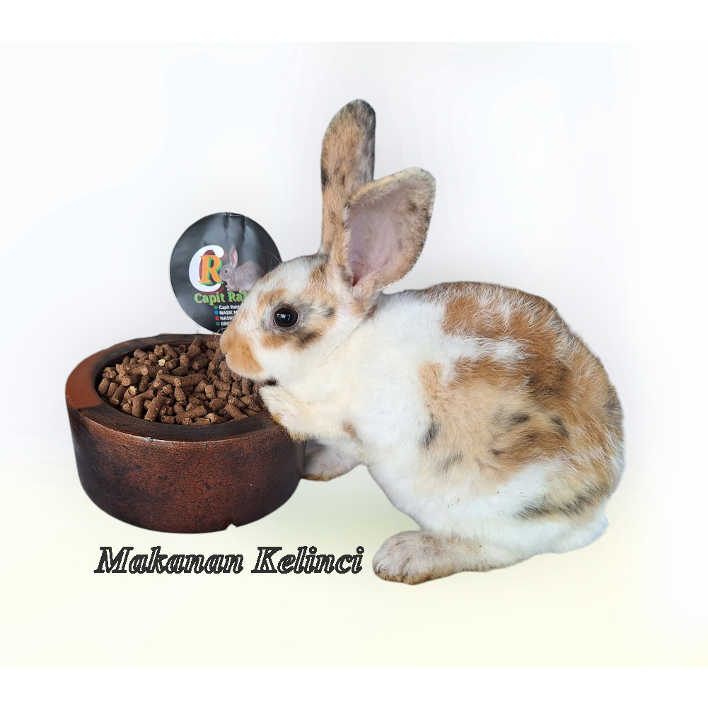 Nutritious and Healthy Rabbit Food Rabbit Claw Pellets 1kg | Shopee ...
