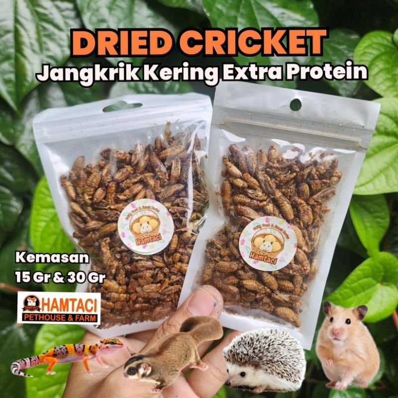 Dried CRICKETS/DRY CHICKEN EXTRA PROTEIN FOOD HAMSTER/SUGARGLDER/LANDAK ...