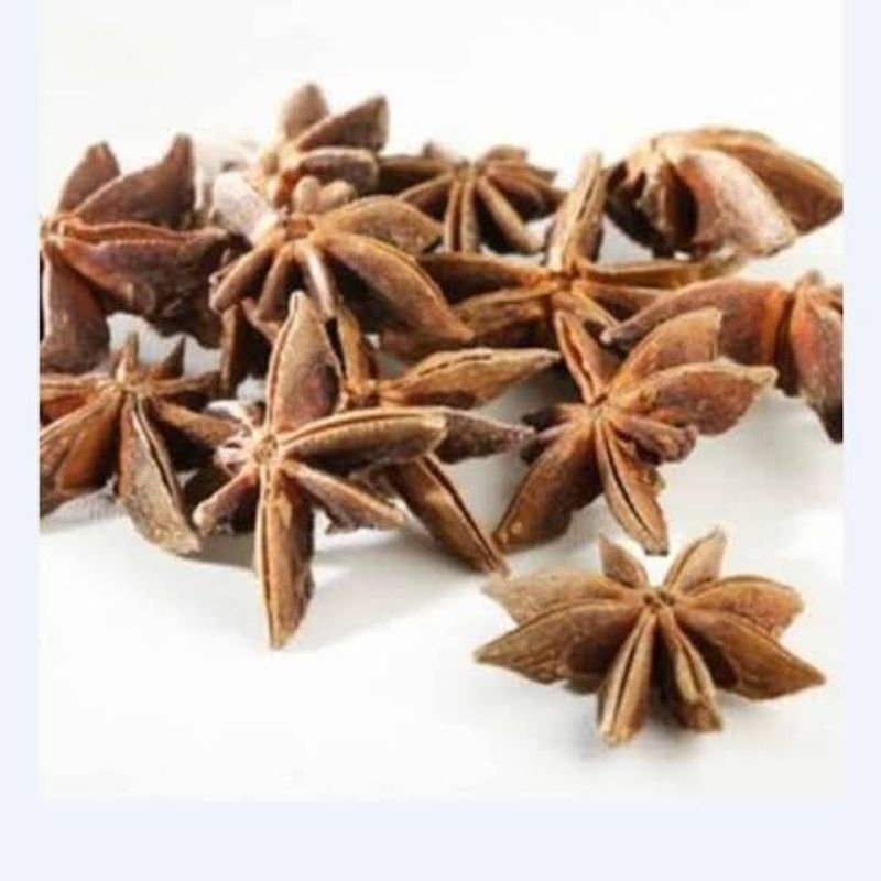 Bunga Lawang/peka 100gr | Shopee Philippines