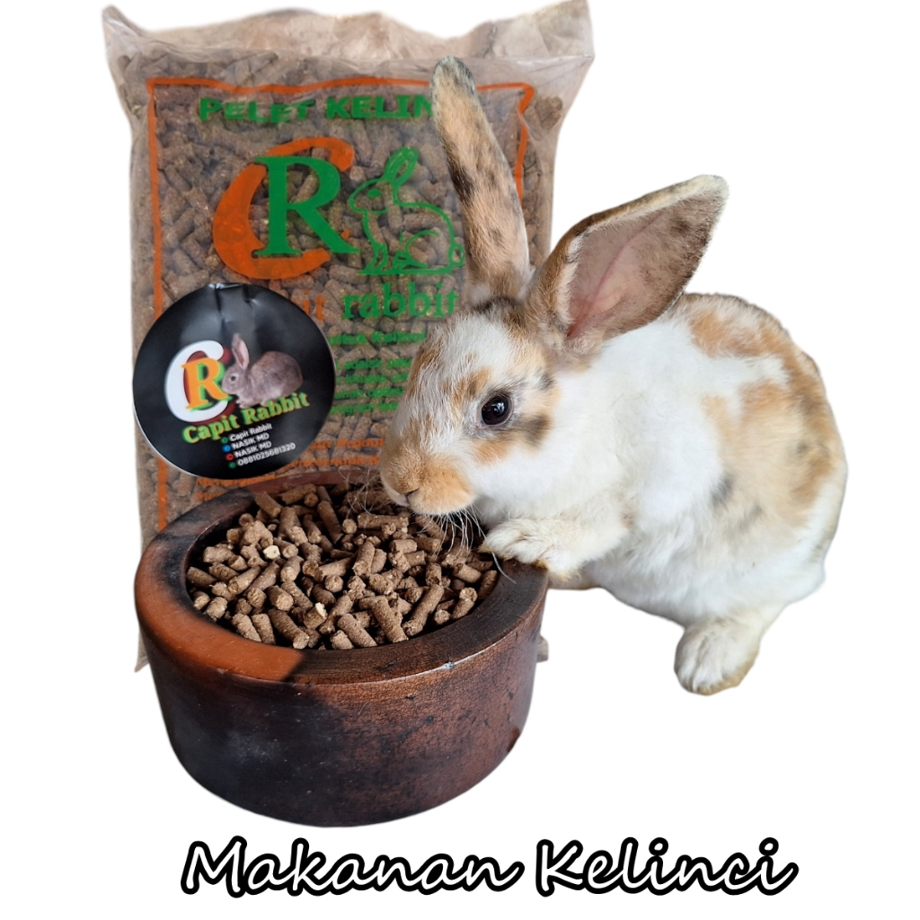 Nutritious Rabbit Food Rabbit Claw Pellets 1 Kg | Shopee Philippines