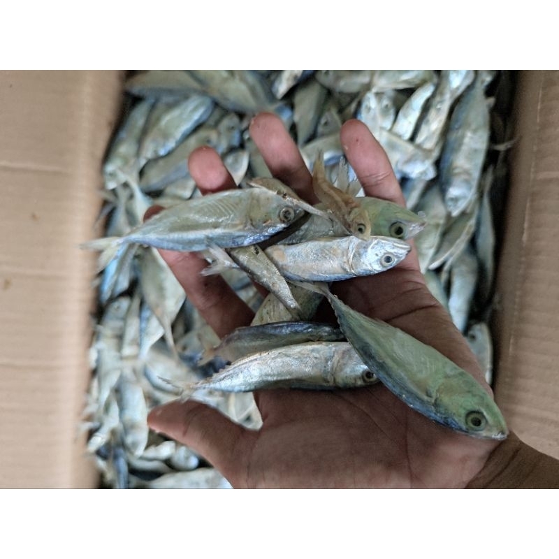 Salted Baby Mackerel Fish 250gr | Shopee Philippines
