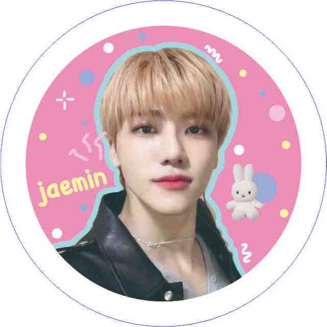 Freebies Jaemin NCT DREAM Hand Mirror/Freebies Jaemin Birthday NCT ...