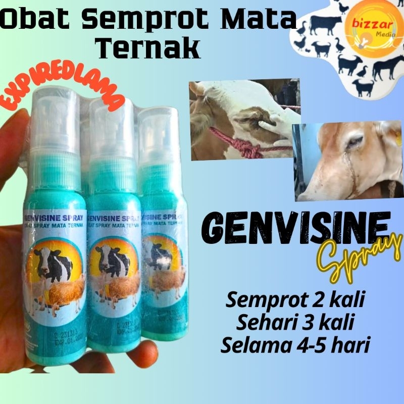 MATA Genvisine Cow Eye Medicine 30ml Spray Spray For Sheep Goat And ...