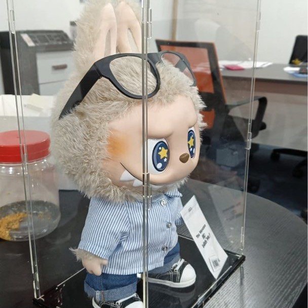 Labubu Time To Chill Acrylic Box / Fall In Wild Acrylic Display Rack ...