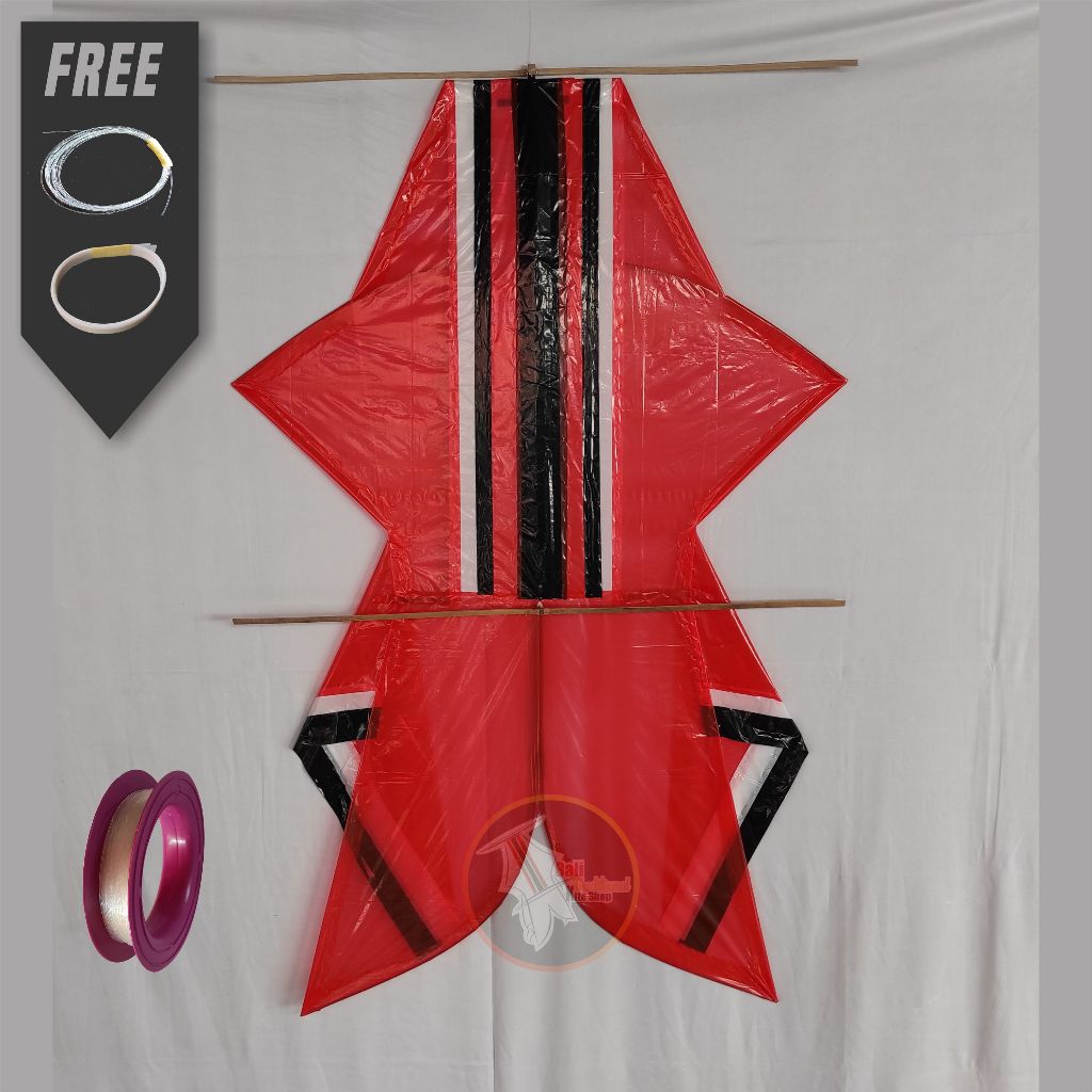 Disassembled Balinese bebean kite knockdown V2 wing width 90cm x height ...