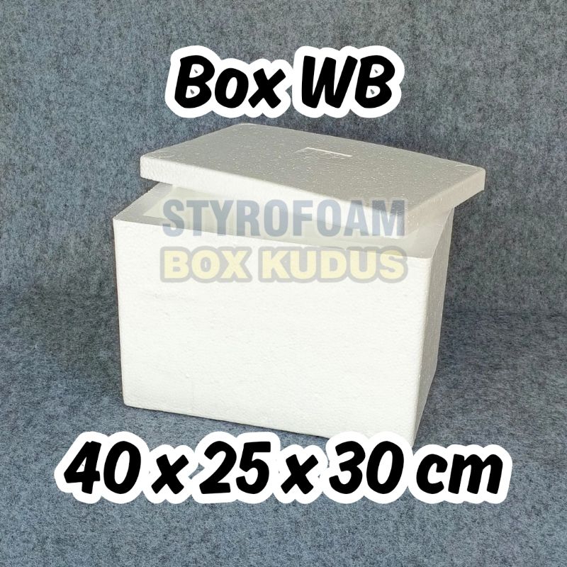 REGULAR SAVING CARGO - BOX WB - Styrofoam Box New Storage Packing ...