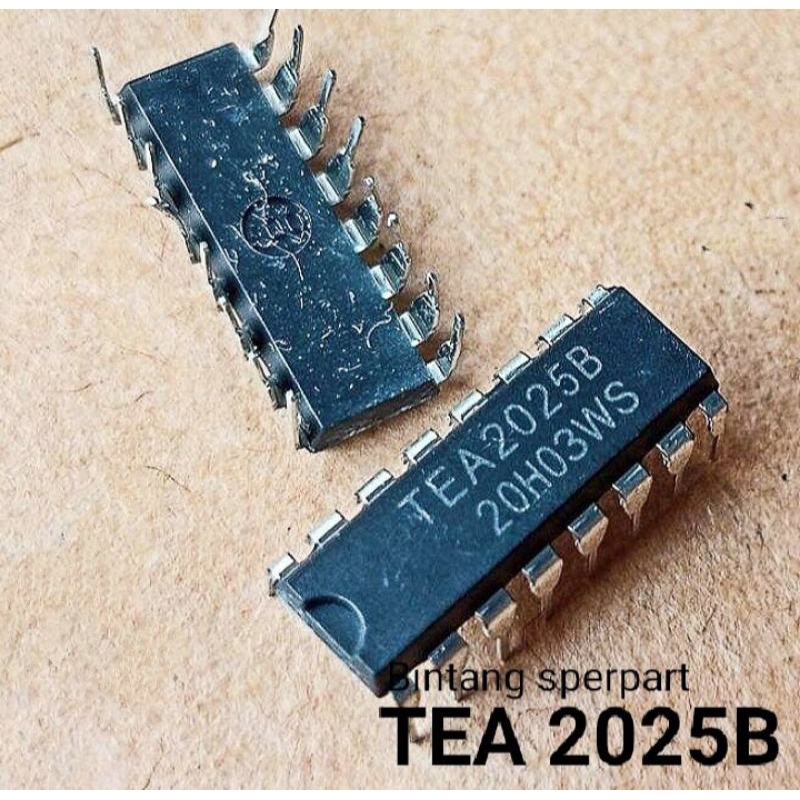 IC TEA 2025B TEA 2025 TEA 2025B AMPLIFIER STEREO AUDIO | Shopee Philippines