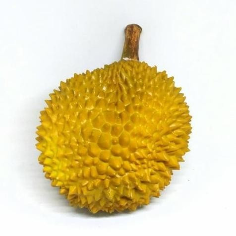 Rubber Durian Fruit Toy Similar to the Original | Shopee Philippines